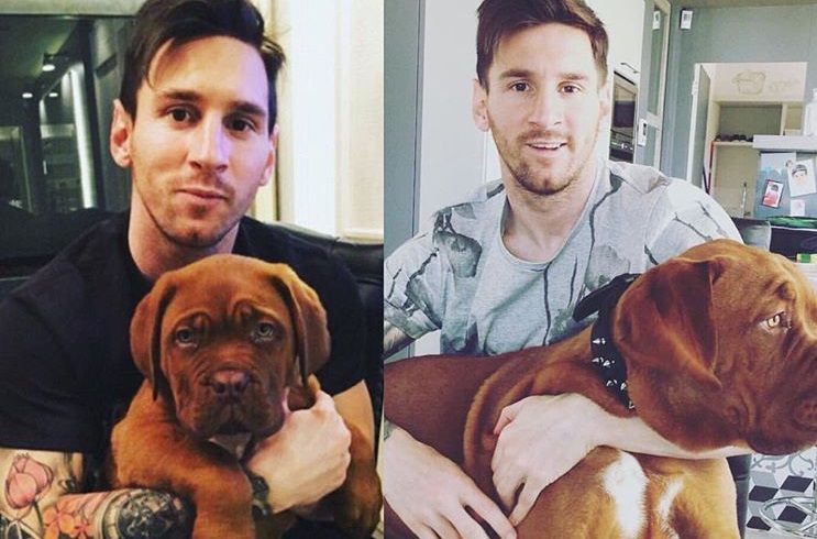Messi is home to Messi - Everything About Pet